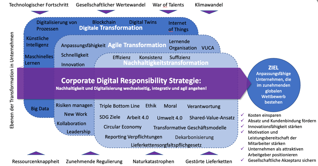 Corporate Digital Responsibility Strategie - Proventa